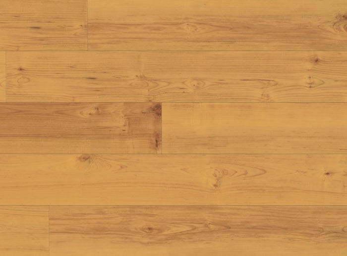 Coretec Plus – Marsh Oak 7x48" Plank | GreenFlooringSupply.com