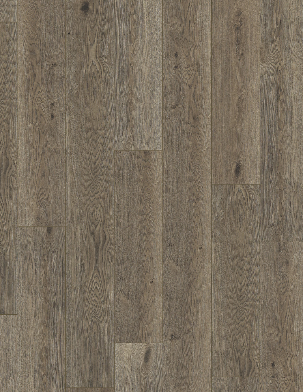 Coretec Pro Plus XL Enhanced HD Ravenswood Oak 9" | GreenFlooringSupply.com