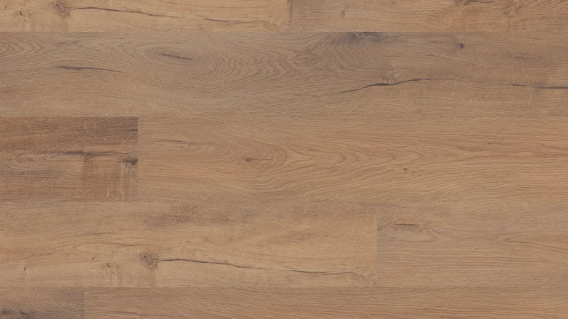Coretec Plus Premium Integrated Bevel with Softstep – Sand Dollar Oak ...