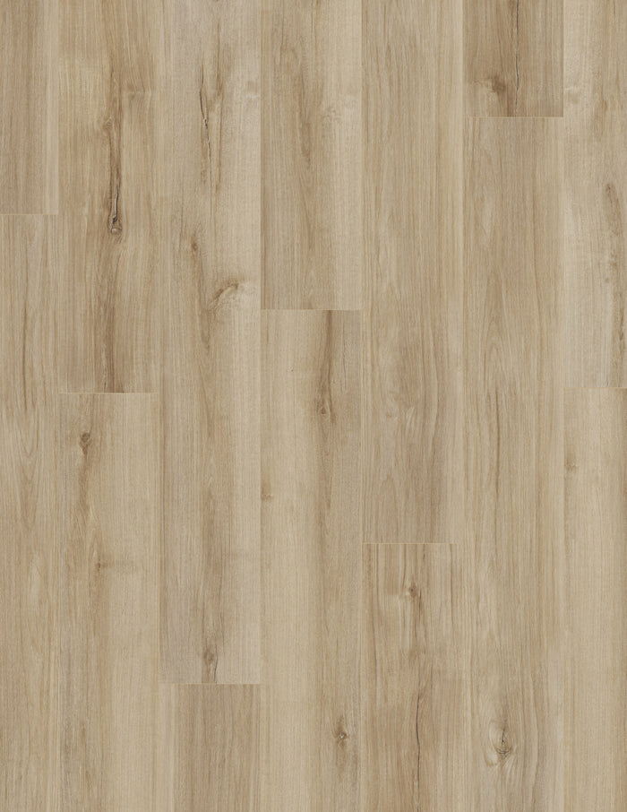 Coretec Pro Plus Enhanced Lucent Oak 7"x48" | GreenFlooringSupply.com