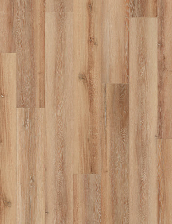 Coretec Plus Premium – Coretta Oak 9"– GreenFlooringSupply.com