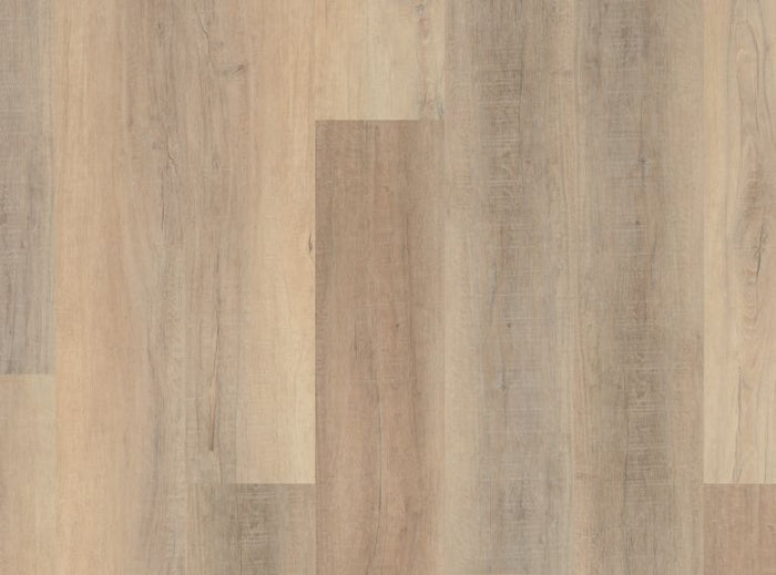 Coretec Pro Plus XL Enhanced HD Bastion Elm 9" | GreenFlooringSupply.com